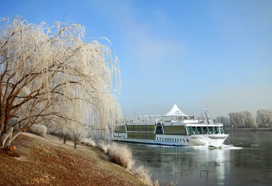 Weihnachtskreuzfahrt auf Rhein und Main 5 Tage MS ARIELLE ROYAl